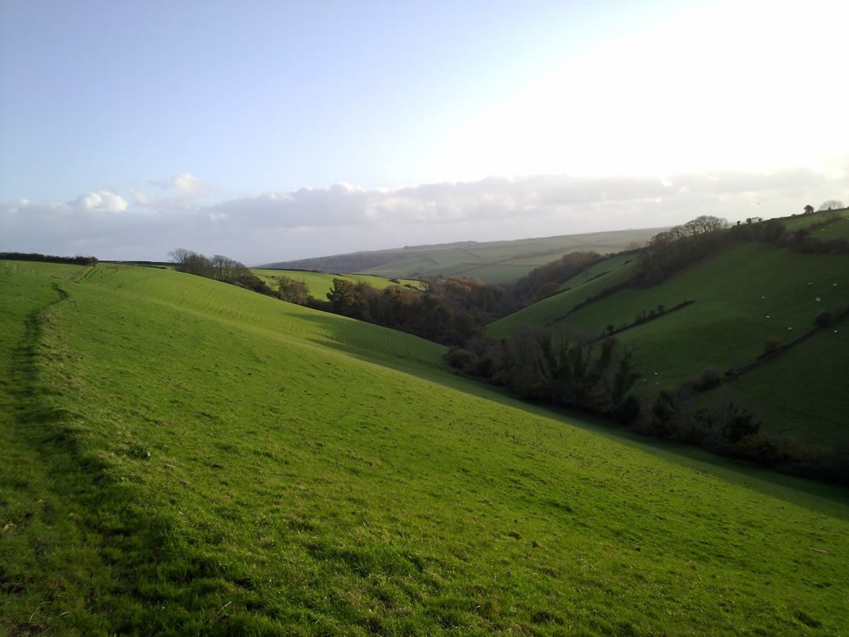 The Dog Lodge – Luxury Dog Boarding in South Devon